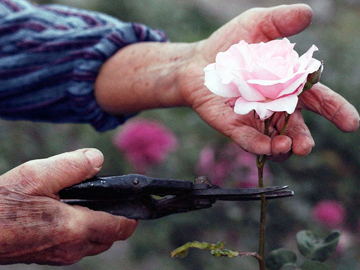 Sternum healing after open heart surgery: What to know