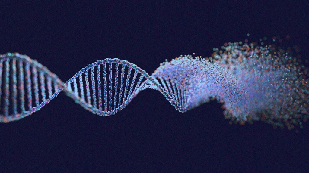 Multicystic dysplastic kidney (MCDK): Types, treatment, more