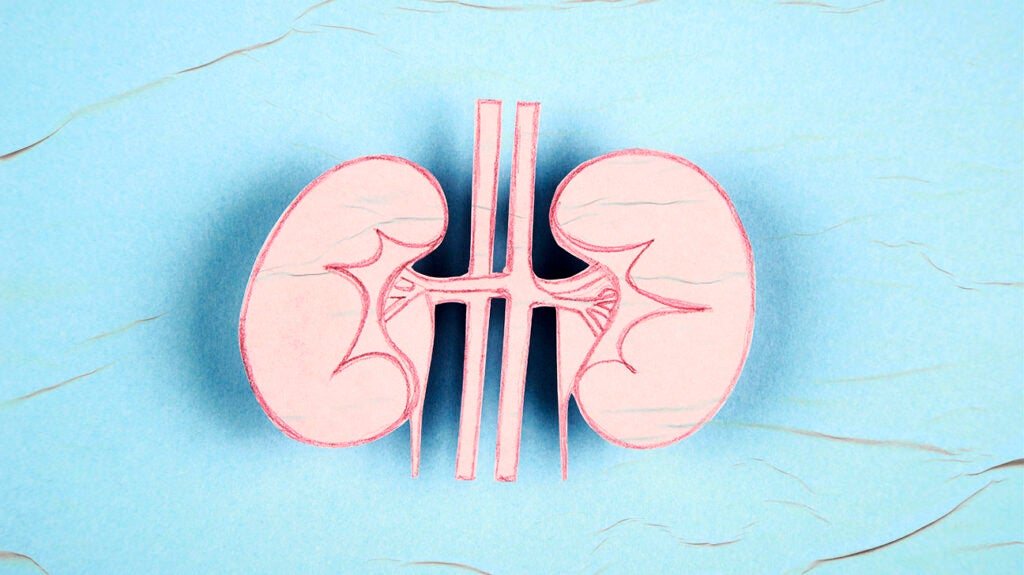 Kidney cancer symptoms: Early warning signs and more