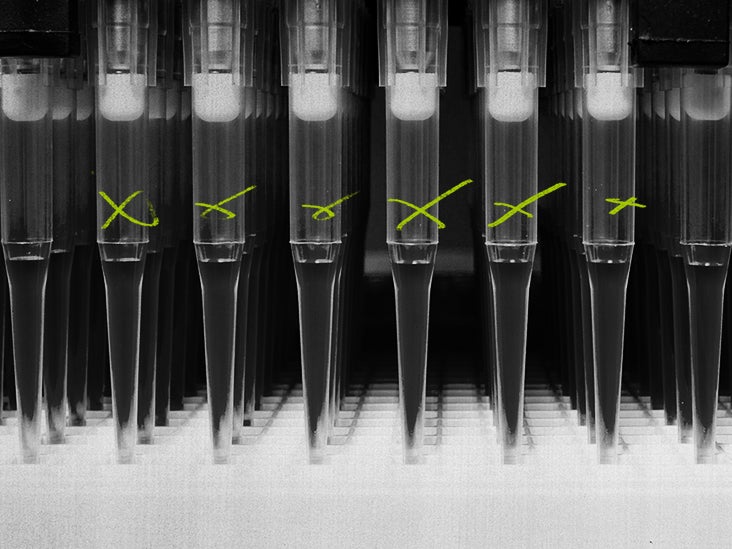 Molecular Testing How It Works Types And More