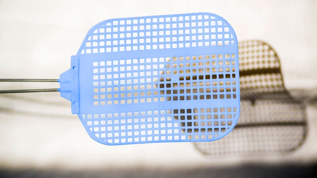 What is entomophobia? Symptoms, causes, and treatment