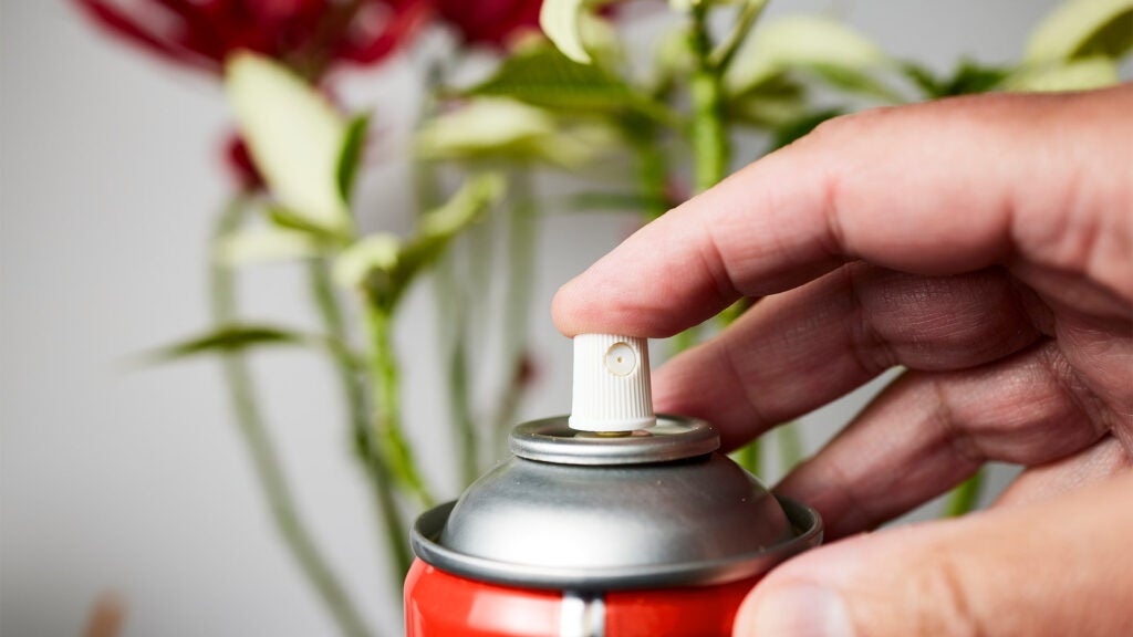 What Causes Foul-Smelling Stools?