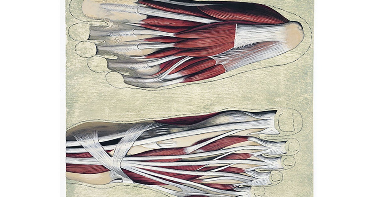 Ollier's disease: Cause, symptoms, treatment, and more