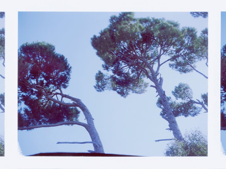 What to know about the symptoms of cedar fever