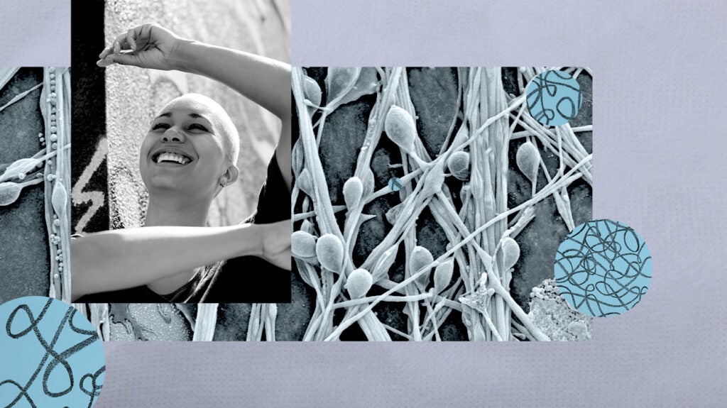 Glial cells: Types and function