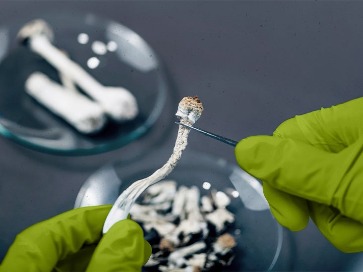 Magic Mushrooms Single Dose May Relieve Treatment resistant Depression