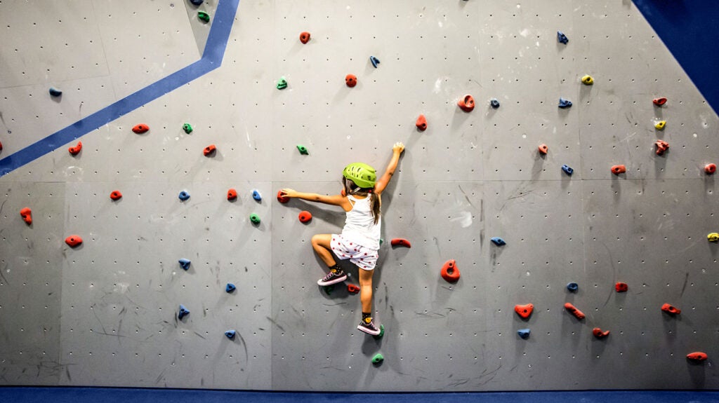 ADHD as a developmental disability