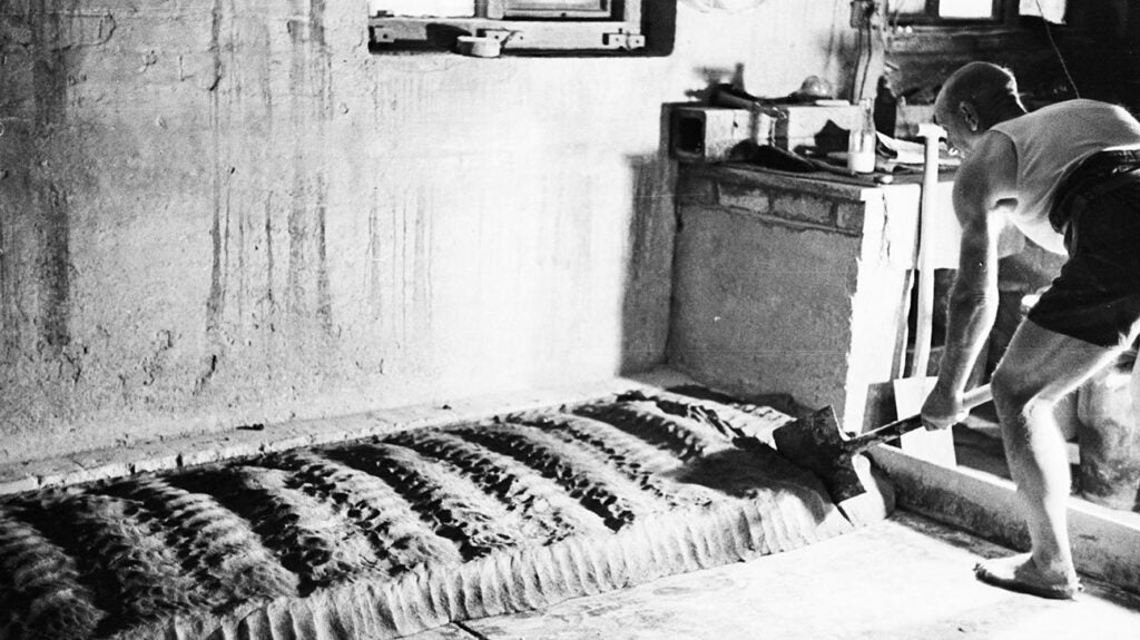 Clay shoveler's fracture