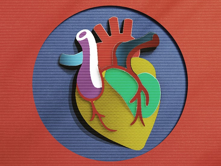 Coronary Artery Disease Causes Symptoms And Treatment