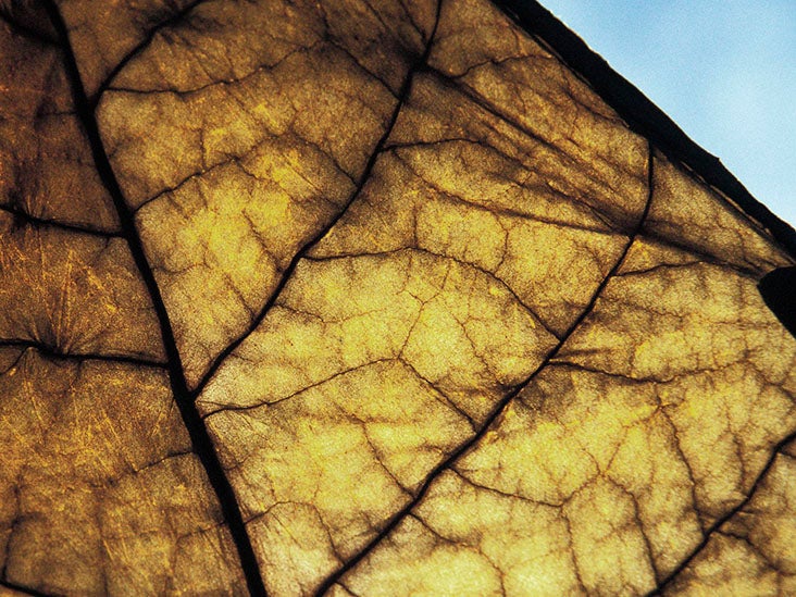 Lung Cancer From Chewing Tobacco