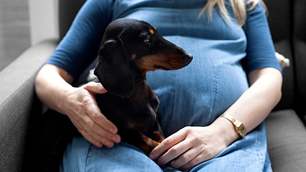 Antepartum depression: Symptoms, causes, and treatment