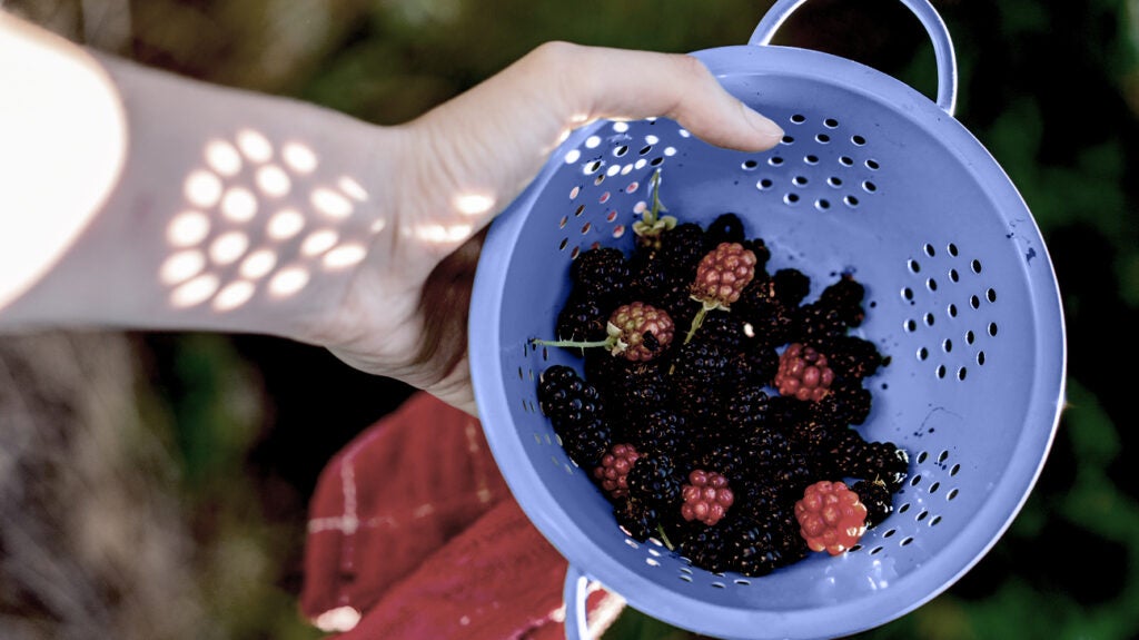 Alzheimer's disease: Does fructose play a role, and if so, how?