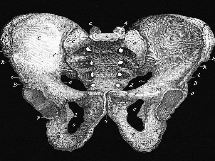 What are the different types of pelvic fracture?