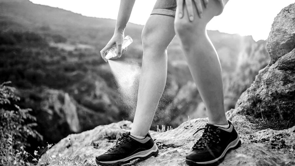 Natural insect repellents: 10 to try and more