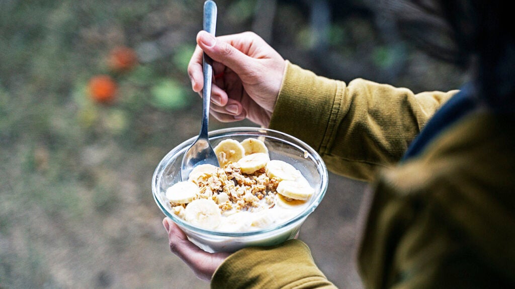 What is dyssynergic defecation?