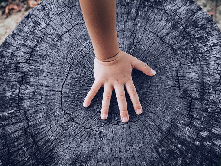 Longevity: Scientists use genetic rewiring to increase cells' lifespan