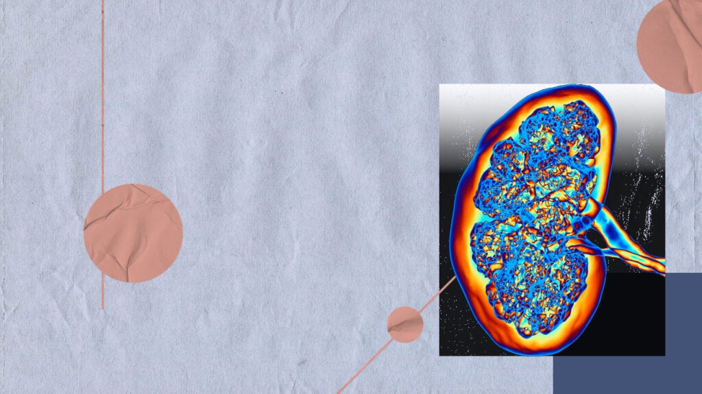 What tests can screen for diabetes-related nephropathy?
