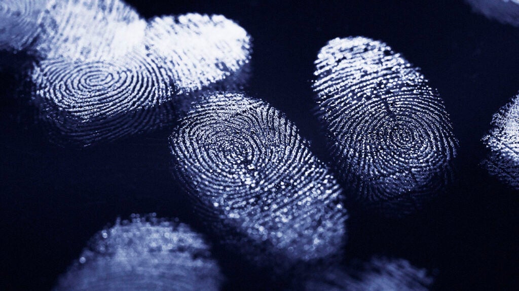 Pain management: A new alternative to opioids?