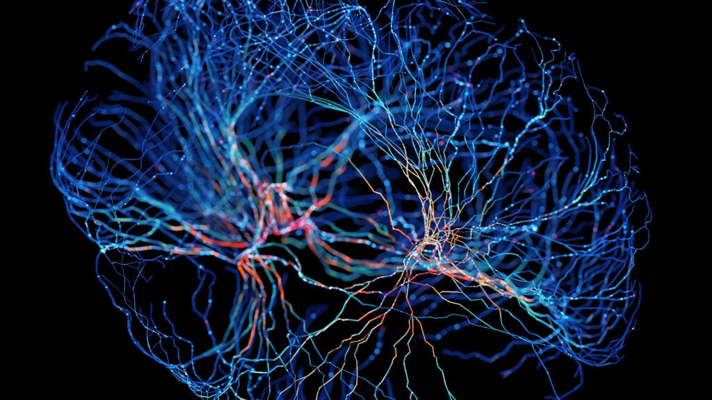 Stroke: Transcranial stimulation may reduce brain damage