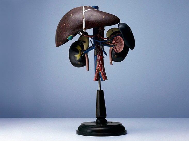 Livers Affected By Smoking