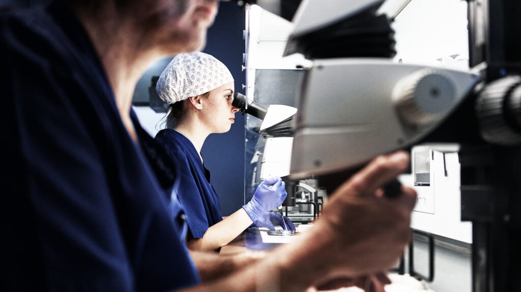 Bile Duct Cancer Immunotherapy Treatment What To Expect