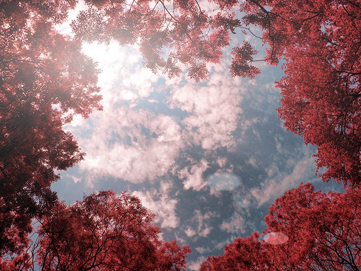 Papulopustular rosacea: Pictures, treatments, and more