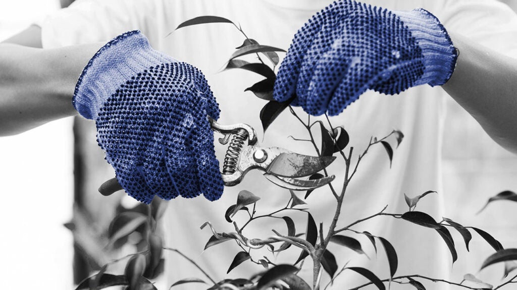 What is synaptic pruning?