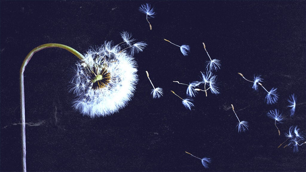 Spring allergies: Causes, management, and home remedies