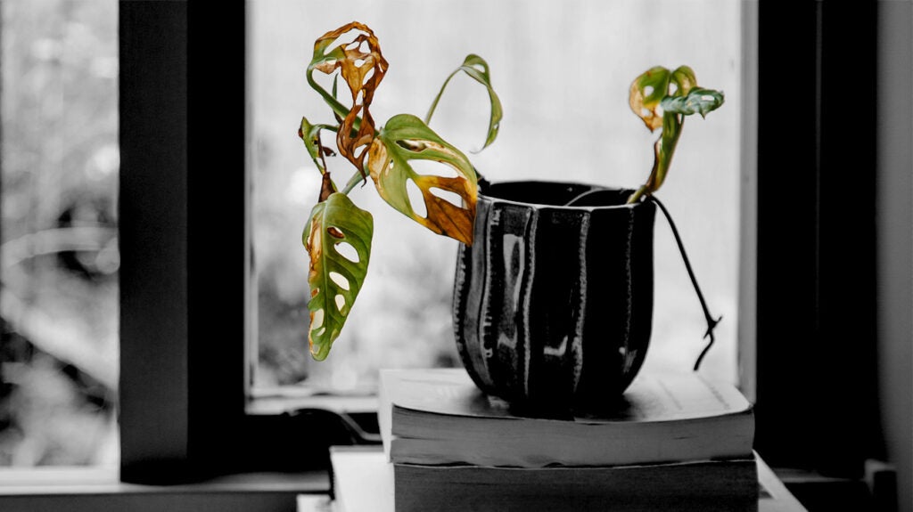 Neglect vs. abuse: Examples, types, signs, and support