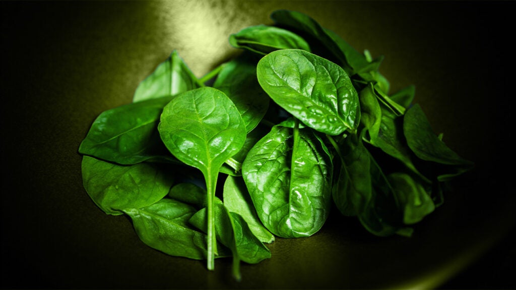 Spinach extract may accelerate wound healing in people with diabetes