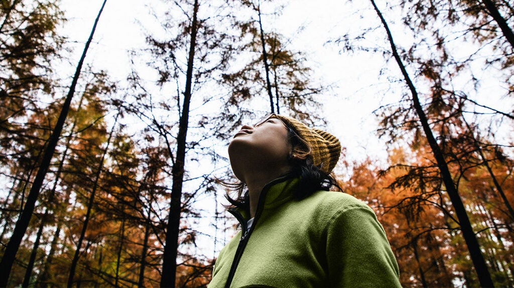 Nausea and vomiting: Causes and How To Treat It